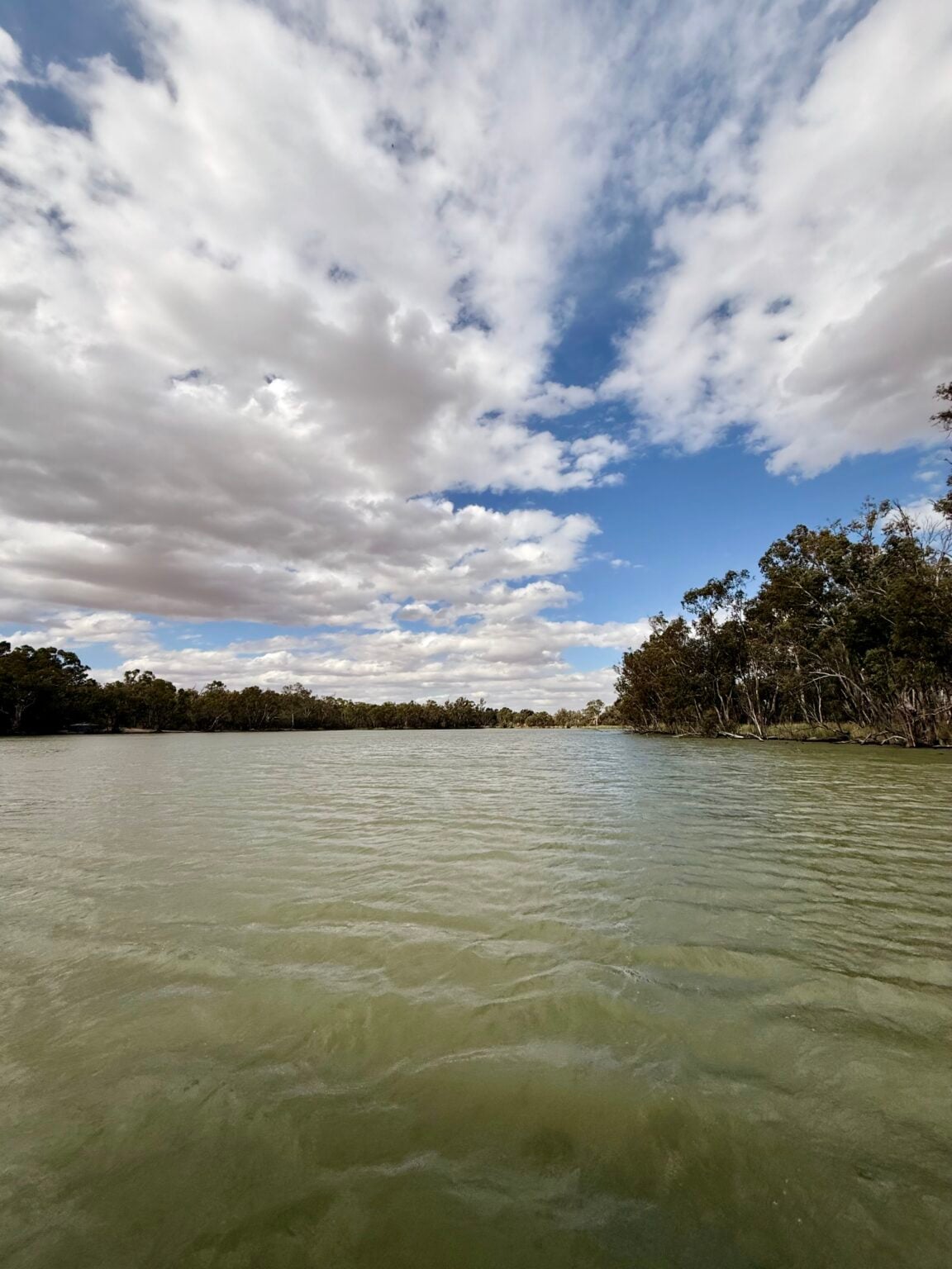 Which is the Best Murray River Cruise for Seniors? - Murray River Cruises